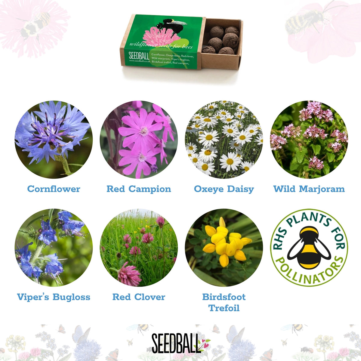 Bumblebee Wild Flower Seed Box – Blossom & Roar